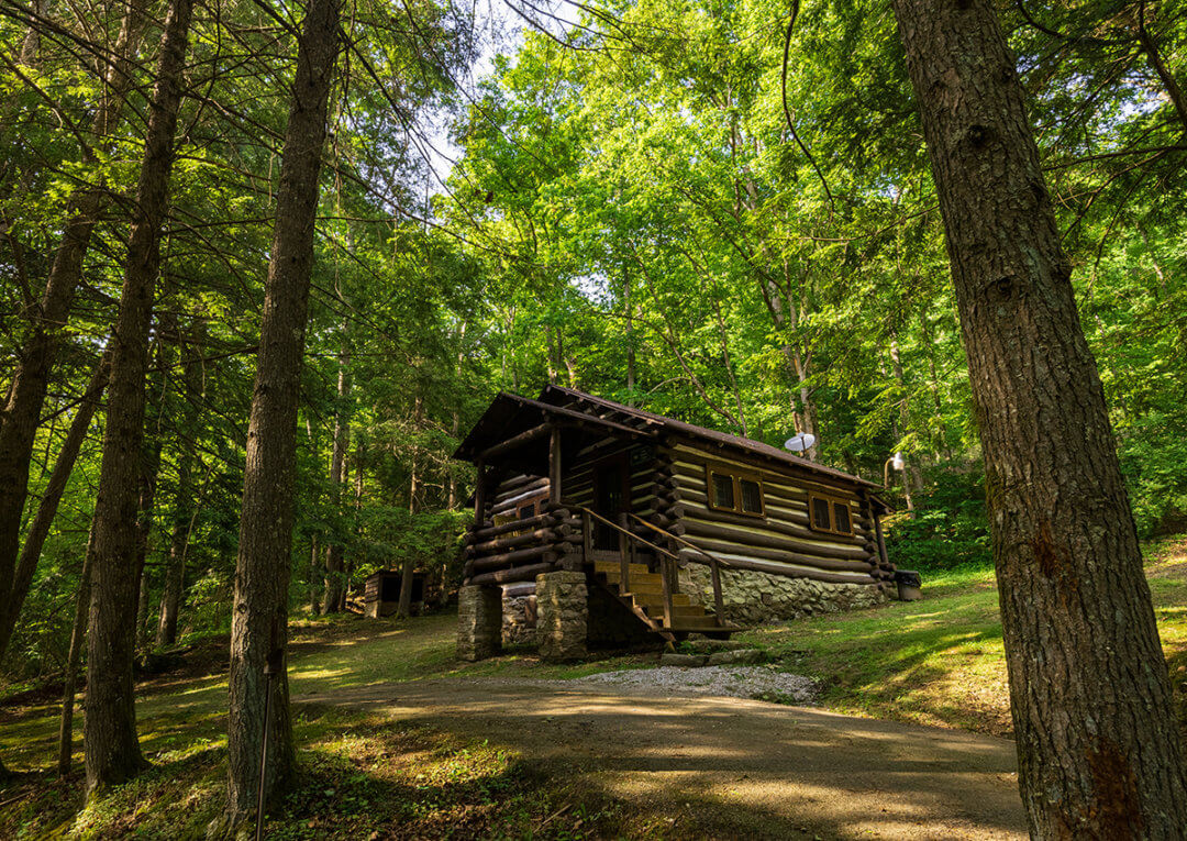 What's the Difference between State Forests and National Forests? - WV ...