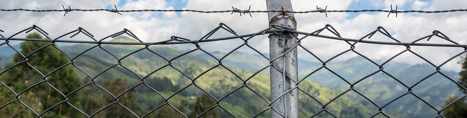 Timber Theft - WV Division of Forestry