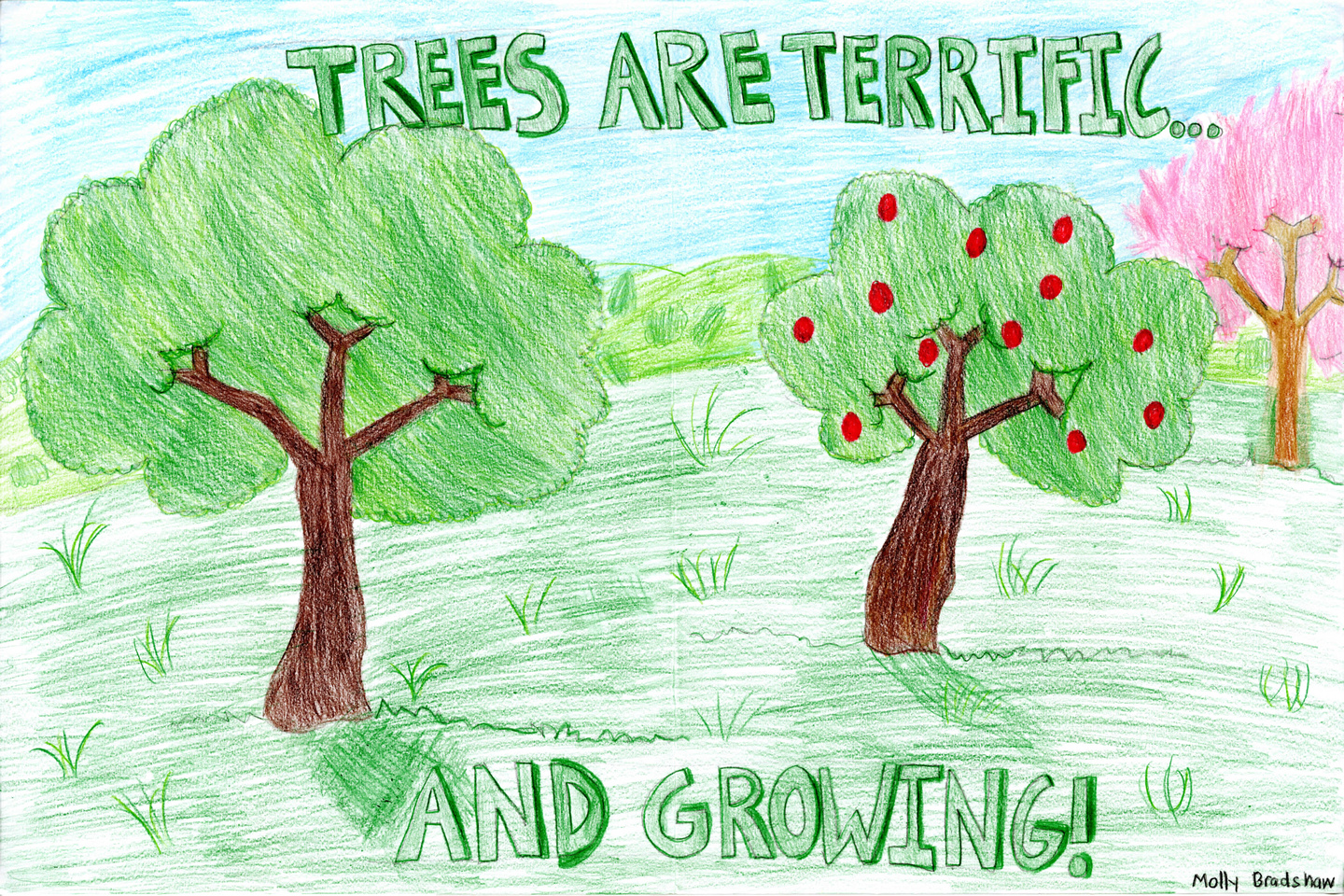Poster by 5th Grade Winner Molly Bradshaw